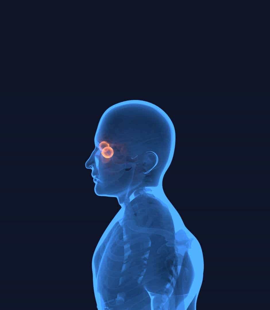 Custom Medical Software Solutions | DataArt