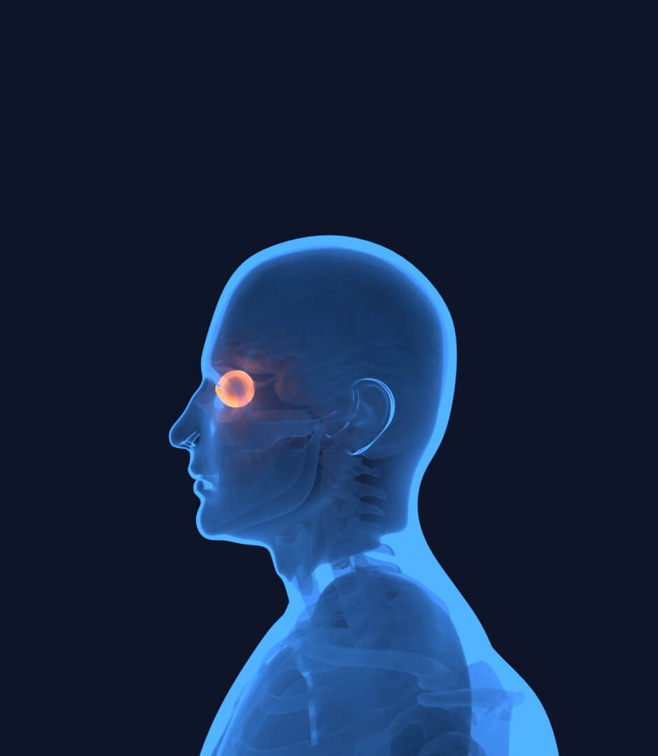 Custom Medical Software Solutions | DataArt