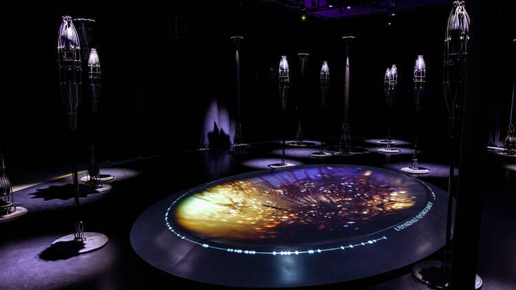 Five Unusual Art Exhibitions Featuring Innovative Tech